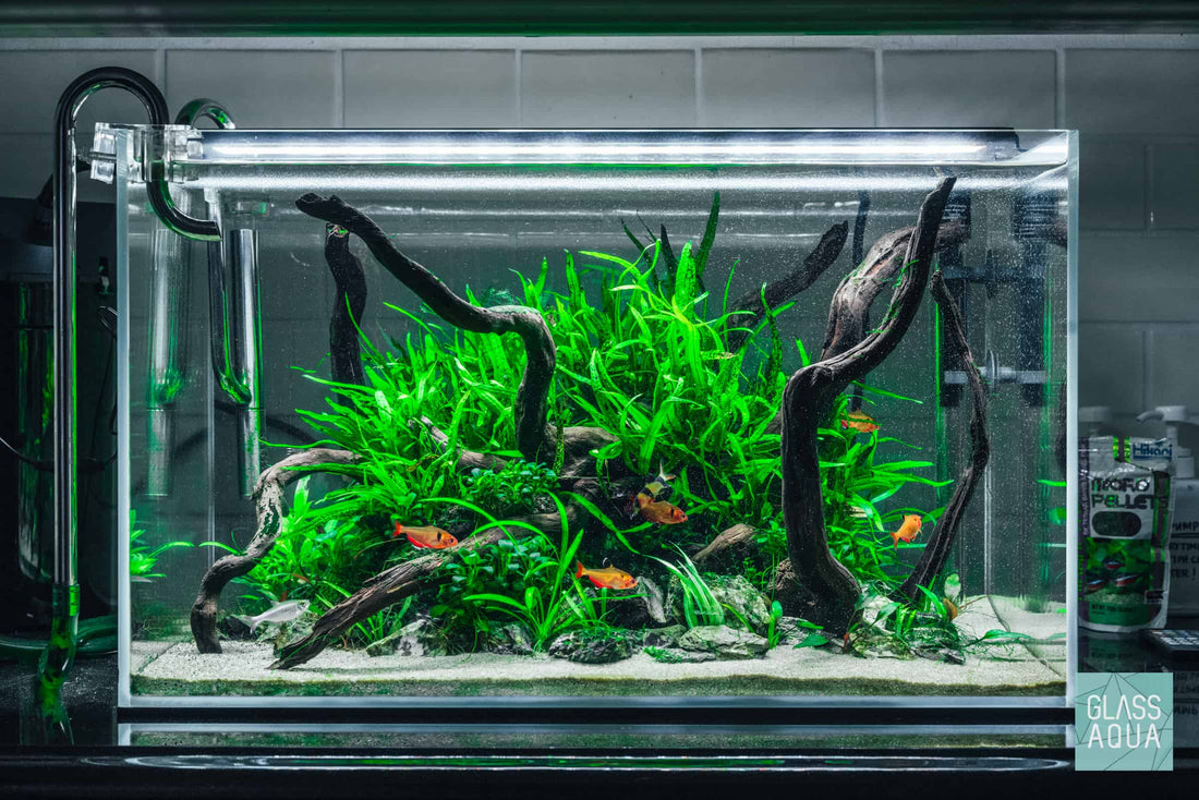 The Most Important Water Parameters to Track for a Healthy Aquarium ...